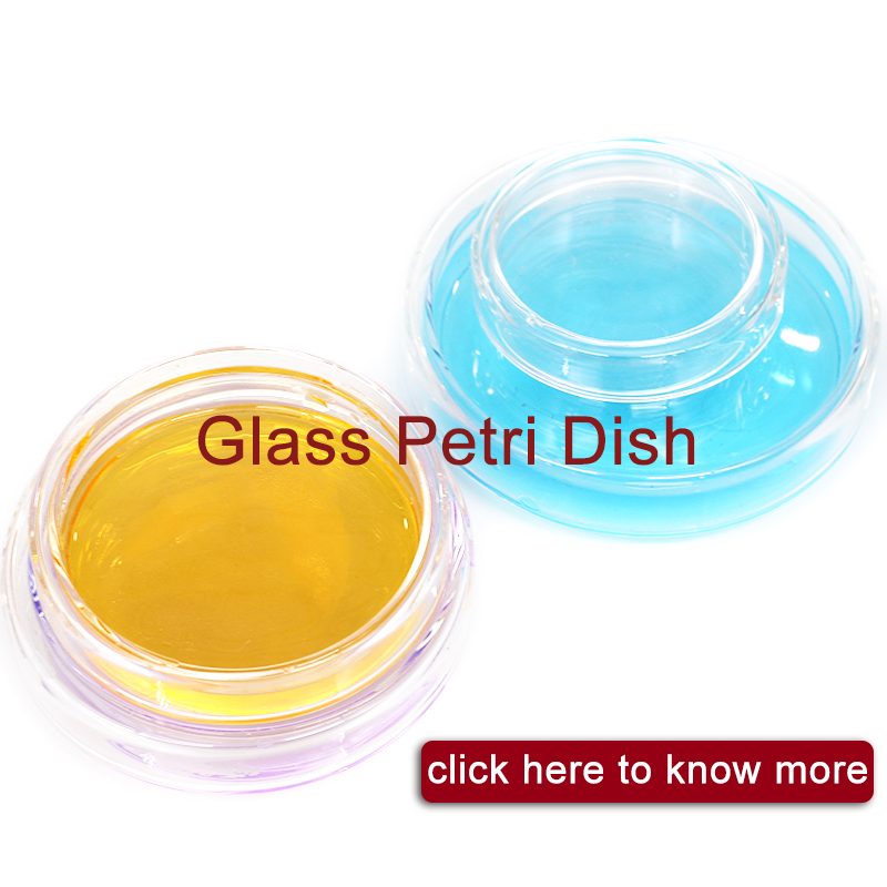 Plastic Petri Dish - Buy petridish, divided petri dish, petri dish ...